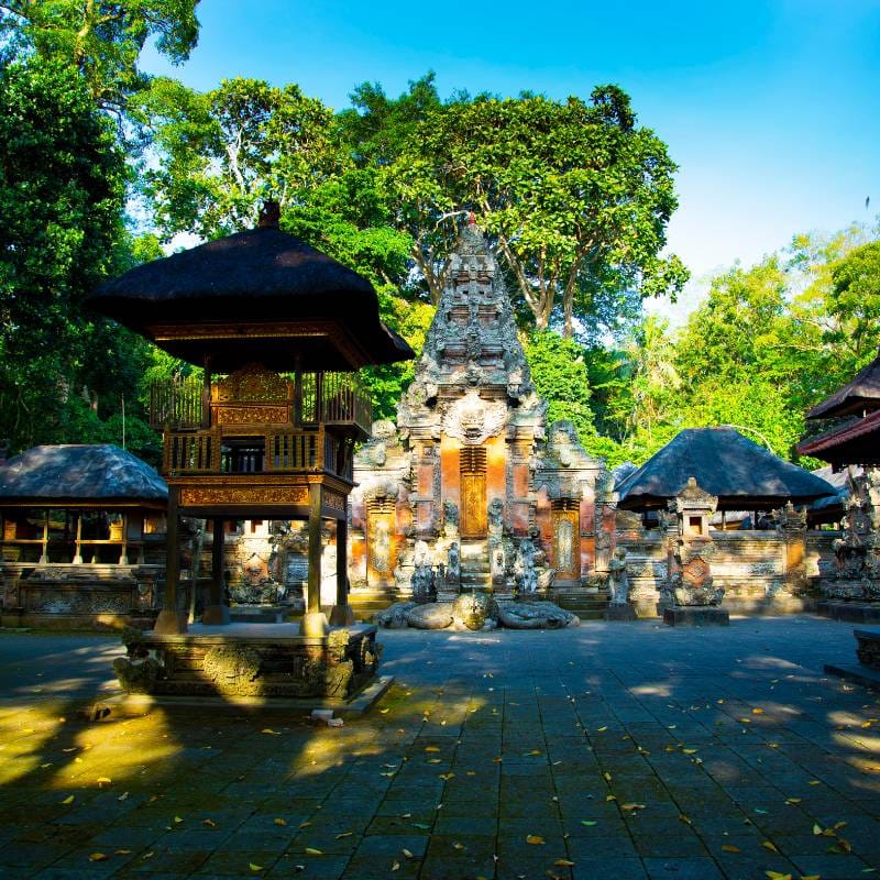 Monkey Forest - Campuhan Ridge Walk